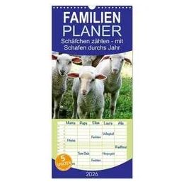 Familienplaner 2026 - Sch&auml;fchen z&auml;hlen - mit Schafen durchs Jahr mit 5 Spalten (Wandkalender, 21 x 45 cm) Calvendo