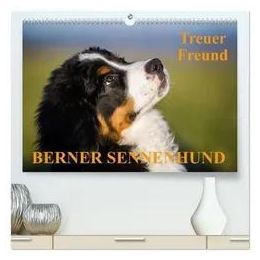 Calvendo Treuer Freund Berner Sennenhund (hochwertiger Premium Wandkalender 2026 DIN A2 quer), Kunstdruck in Hochglanz