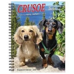 Crusoe the Celebrity Dachshund 2026 Engagement Calendar