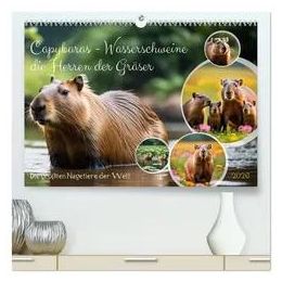 Calvendo Capybaras - Wasserschweine die Herren der Gr&auml;ser (hochwertiger Premium Wandkalender 2026 DIN A2 quer), Kunstdruck in Hochglanz