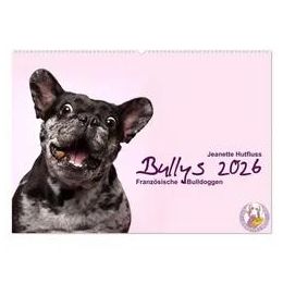 Bullys - Franz&ouml;sische Bulldoggen 2026 (Wandkalender 2026 DIN A2 quer), Calvendo Monatskalender