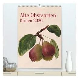 Calvendo Alte Obstsorten - Birnen 2026 (hochwertiger Premium Wandkalender 2026 DIN A2 hoch), Kunstdruck in Hochglanz