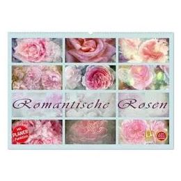 Romantische Rosen (Wandkalender 2026 DIN A2 quer), Calvendo Monatskalender