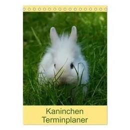 Kaninchen Terminplaner (Tischkalender 2026 DIN A5 hoch), Calvendo Monatskalender