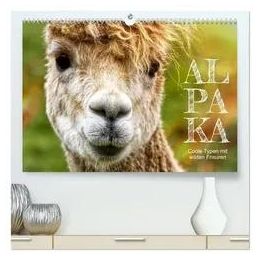 Calvendo Alpaka, coole Typen mit wilden Frisuren (hochwertiger Premium Wandkalender 2026 DIN A2 quer), Kunstdruck in Hochglanz