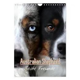 Australian Shepherd - Beste Freunde (Wandkalender 2026 DIN A4 hoch), Calvendo Monatskalender
