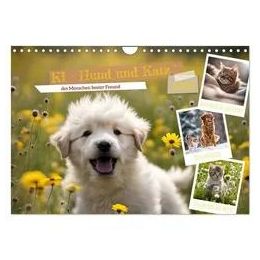 KI - Hund und Katz `des Menschen bester Freund (Wandkalender 2026 DIN A4 quer), Calvendo Monatskalender