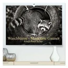 Calvendo Waschb&auml;ren - Maskierte Gauner (hochwertiger Premium Wandkalender 2026 DIN A2 quer), Kunstdruck in Hochglanz