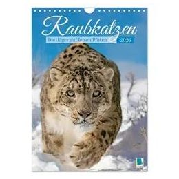 Raubkatzen: Die J&auml;ger auf leisen Pfoten (Wandkalender 2026 DIN A4 hoch), Calvendo Monatskalender