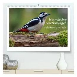 Calvendo Heimische Gartenv&ouml;gel - Gefiederte Freunde (hochwertiger Premium Wandkalender 2026 DIN A2 quer), Kunstdruck in Hochglanz