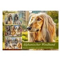 Afghanischer Windhund. Eleganter Sichtj&auml;ger und sensibler Couch-Potatoe (Wandkalender 2026 DIN A4 quer), Calvendo Monatskalender