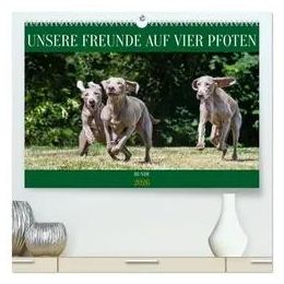 Calvendo Unsere Freunde auf vier Pfoten - Hunde (hochwertiger Premium Wandkalender 2026 DIN A2 quer), Kunstdruck in Hochglanz