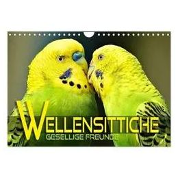 Wellensittiche - gesellige Freunde (Wandkalender 2026 DIN A4 quer), Calvendo Monatskalender