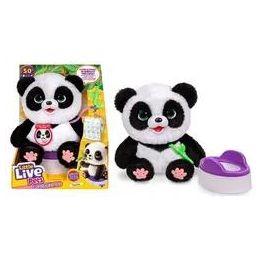 Little Live Pets: My Baby Panda (Pl&uuml;sch-Einzelpack)