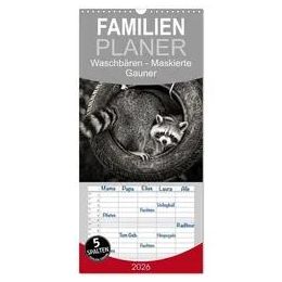Familienplaner 2026 - Waschb&auml;ren - Maskierte Gauner mit 5 Spalten (Wandkalender, 21 x 45 cm) Calvendo