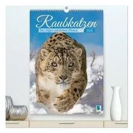 Calvendo Raubkatzen: Die J&auml;ger auf leisen Pfoten (hochwertiger Premium Wandkalender 2026 DIN A2 hoch), Kunstdruck in Hochglanz