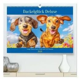 Calvendo Dackelgl&uuml;ck Deluxe. Lange Ohren, kurze Beine und viel Charme (hochwertiger Premium Wandkalender 2026 DIN A2 quer), Kunstdruck in Hochglanz