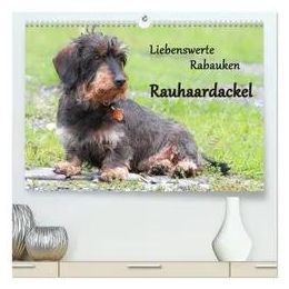 Calvendo Liebenswerte Rabauken Rauhaardackel / CH-Version (hochwertiger Premium Wandkalender 2026 DIN A2 quer), Kunstdruck in Hochglanz