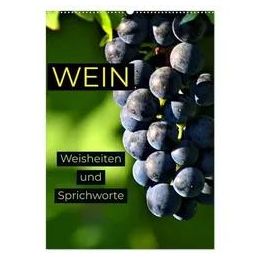 WEIN Weisheiten und Sprichworte (Wandkalender 2026 DIN A2 hoch), Calvendo Monatskalender