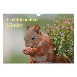 Eichh&ouml;rnchen Kinder (Wandkalender 2026 DIN A4 quer), Calvendo Monatskalender