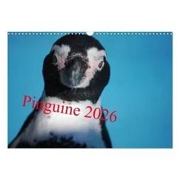 Pinguine 2026 (Wandkalender 2026 DIN A3 quer), Calvendo Monatskalender