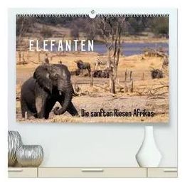 Calvendo Elefanten - Die sanften Riesen Afrikas (hochwertiger Premium Wandkalender 2026 DIN A2 quer), Kunstdruck in Hochglanz