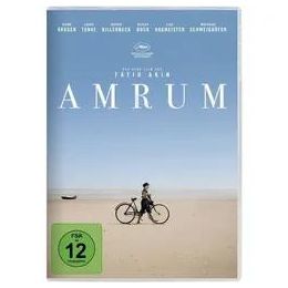 Amrum