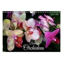 Beliebte Orchideen (Wandkalender 2026 DIN A4 quer), Calvendo Monatskalender