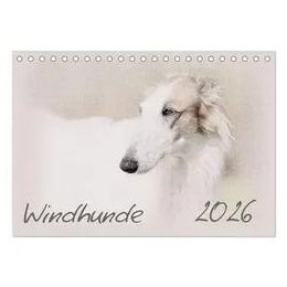 Windhunde 2026 (Tischkalender 2026 DIN A5 quer), Calvendo Monatskalender