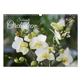 Sch&ouml;nste Orchideen (Wandkalender 2026 DIN A3 quer), Calvendo Monatskalender