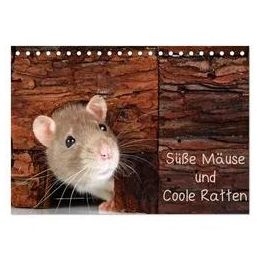 S&uuml;&szlig;e M&auml;use und Coole Ratten (Tischkalender 2026 DIN A5 quer), Calvendo Monatskalender