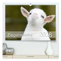 Calvendo Ziegenkinder (hochwertiger Premium Wandkalender 2026 DIN A2 quer), Kunstdruck in Hochglanz