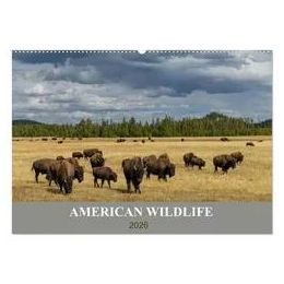 American Wildlife (Wandkalender 2026 DIN A2 quer), Calvendo Monatskalender