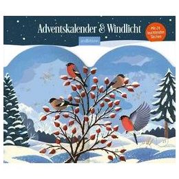 arsEdition Windlicht-Adventskalender Winterzauber