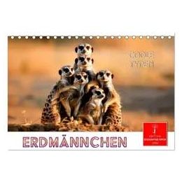 Erdm&auml;nnchen - coole Typen (Tischkalender 2026 DIN A5 quer), Calvendo Monatskalender