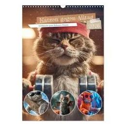 Katzen gegen Alltag (Wandkalender 2026 DIN A3 hoch), Calvendo Monatskalender