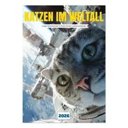 Katzen im Weltall - lustiger Katzenkalender f&uuml;r Kinder, Familien und Katzenliebhaber (Wandkalender 2026 DIN A2 hoch), Calvendo Monatskalender