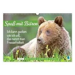 Spa&szlig; mit B&auml;ren: Edition lustige Tiere (Wandkalender 2026 DIN A3 quer), Calvendo Monatskalender