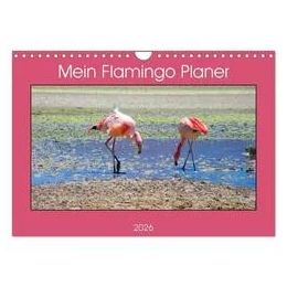 Mein Flamingo Planer (Wandkalender 2026 DIN A4 quer), Calvendo Monatskalender