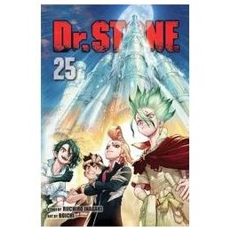 Dr. Stone, Vol. 25