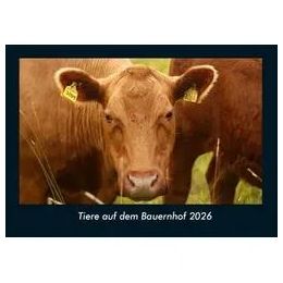 Tiere auf dem Bauernhof 2026 Fotokalender DIN A4