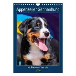 Appenzeller Sennenhund - Mit Plan durch das Jahr (Wandkalender 2026 DIN A4 hoch), Calvendo Monatskalender