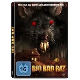 Alive Big Bad Rat