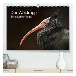 Calvendo Der Waldrapp - Ein skurriler Vogel (hochwertiger Premium Wandkalender 2026 DIN A2 quer), Kunstdruck in Hochglanz