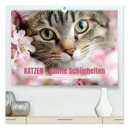 Calvendo Katzen - sanfte Sch&ouml;nheiten (hochwertiger Premium Wandkalender 2026 DIN A2 quer), Kunstdruck in Hochglanz