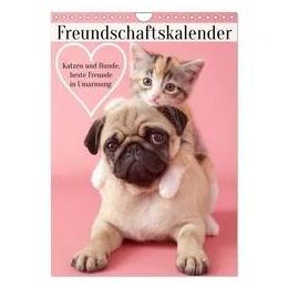 Freundschaftskalender - Katzen und Hunde, beste Freunde in Umarmung (Wandkalender 2026 DIN A4 hoch), Calvendo Monatskalender