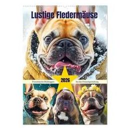 Lustige Flederm&auml;use. Franz&ouml;sische Bulldoggen bei der Freizeitgestaltung (Wandkalender 2026 DIN A2 hoch), Calvendo Monatskalender