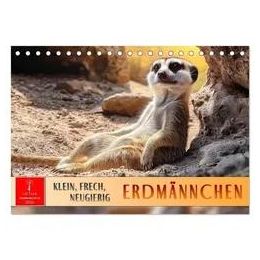 Erdm&auml;nnchen - klein, frech, neugierig (Tischkalender 2026 DIN A5 quer), Calvendo Monatskalender