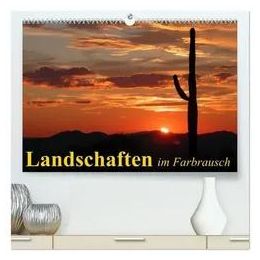 Calvendo Landschaften im Farbrausch (hochwertiger Premium Wandkalender 2026 DIN A2 quer), Kunstdruck in Hochglanz