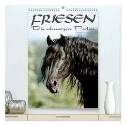 Calvendo Friesen - die schwarzen Perlen (hochwertiger Premium Wandkalender 2026 DIN A2 hoch), Kunstdruck in Hochglanz